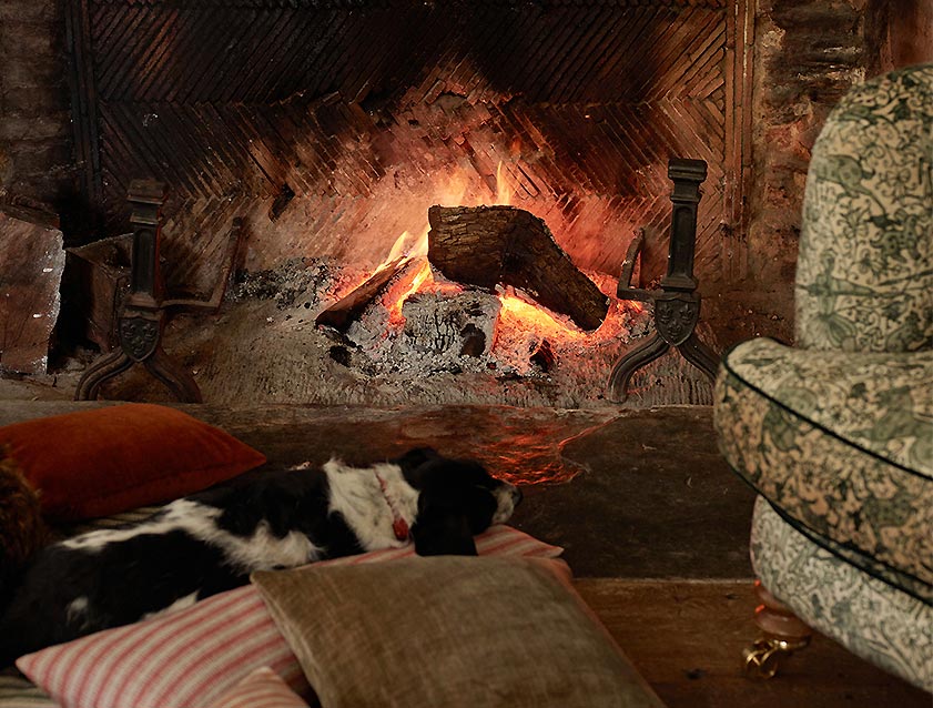 V&A Threads of India Opulent Velvets - Forest Creatures | Gold | Fabric ...